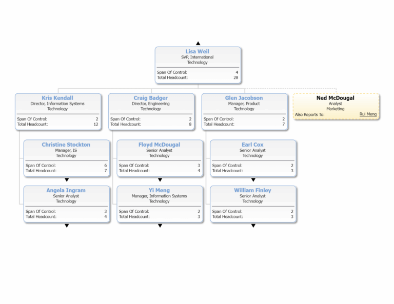 IT Org Chart: How To Build an IT Organizational Structure