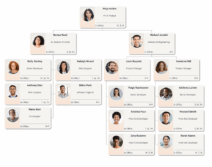 Streamline Organizational Structures: Drive Project Management Success