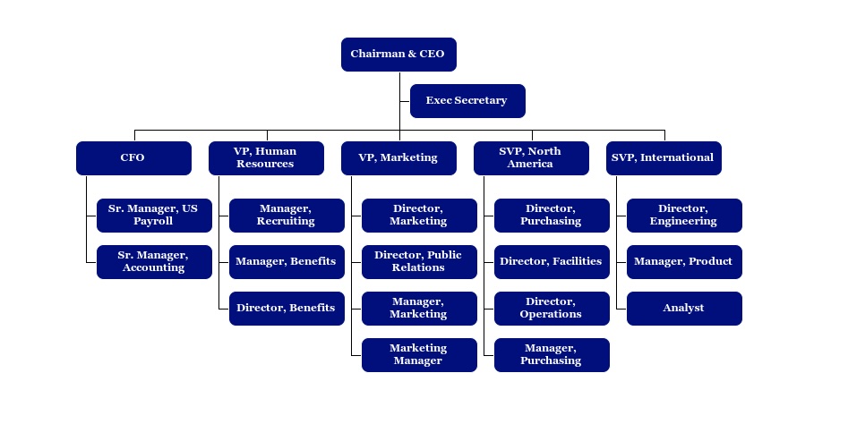 Functional Organizational Chart: Definition & Examples