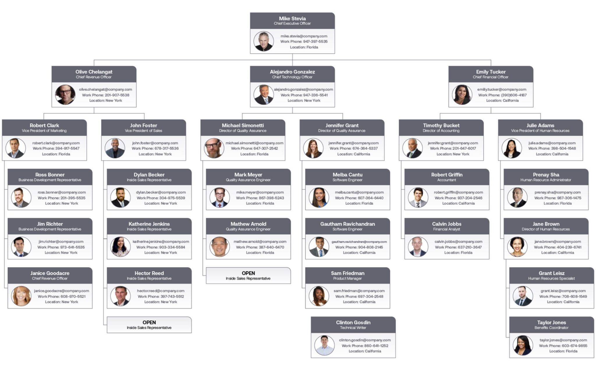 Types of Organizational Structures & Charts: Complete Guide